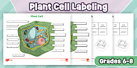 Label Animal and Plant Cell Worksheet | Biology | Twinkl