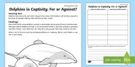 Hector's and Maui's Dolphin Life Cycle Display Posters