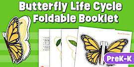 Early Childhood Butterfly Life Cycle Foldable Booklet