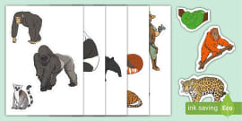 Jungle Word Mat, Jungle (teacher made) - Twinkl