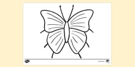 FREE! - BSL Butterfly Colouring Sheets | Colouring Pages