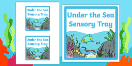 How to Make a Sea-Themed Sensory Tray (teacher made)