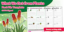 How Do We Use Plants? Mind Map