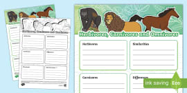 Carnivore Omnivore and Herbivore Venn Diagram Worksheet - venn