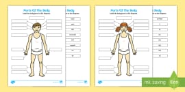 Japanese Body Part Labelling Worksheet (teacher made)