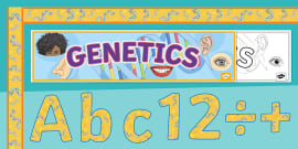 Genetics Double Helix DNA Bulletin Board Letters and Numbers