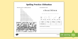 Spelling Practice: Collage Worksheet (profesor hizo)