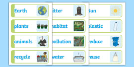 The Earth's Environment Word Cards (teacher made) - Twinkl