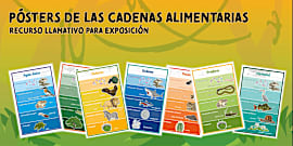 Hoja de actividad: las cadenas alimentarias - Twinkl
