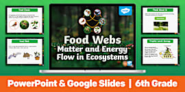 Food Chains PowerPoint & Google Slides for 3rd-5th Grade