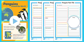Emperor Penguin Reading Comprehension Worksheet