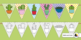 Succulent Bulletin Board Borders (profesor hizo) - Twinkl