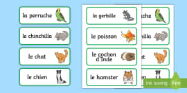 Ensemble de mots : les animaux (teacher made)