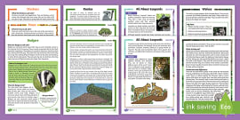 First Grade Earth Day Reading Passage Comprehension Activity