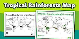 Tropical Rainforests Worksheet - Twinkl