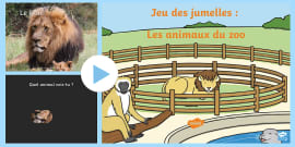 👉 French: Zoo Animals PowerPoint (Hecho por educadores)