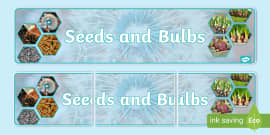 Gardening Flashcards (teacher made) - Twinkl