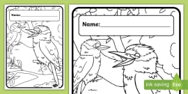 Who are the Kookaburras? | Twinkl Teaching Wiki - Twinkl