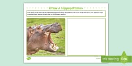 3D Hippo Paper Model Activity | Twinkl Hippopotamus Craft