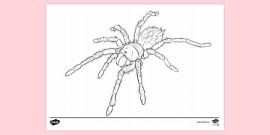 Creepy Crawly Colouring Page