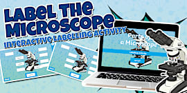 Parts of a Microscope Labelling Activity
