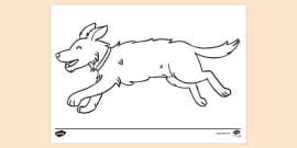 FREE! - Detective Dog Maths Hound Colouring | Colouring Sheets