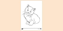 Cat mindfulness colouring sheets | Easy to print | Twinkl