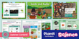 Year 2 Science:Observe and Describe How Seeds and Bulbs Grow