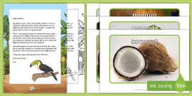 What is a Toucan? - Answered - Twinkl Teaching Wiki