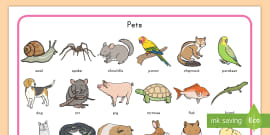 Pets Word Mat - Children's Teaching Resource - Twinkl