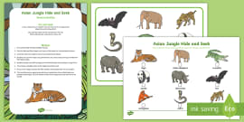 Farm Animals 'Hide and Seek' Sensory Activity (teacher made)