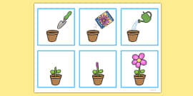 Putting Together a Flower Activity (teacher made)