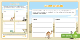 What is a Fennec Fox? - Answered - Twinkl Teaching Wiki