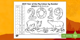 Year of the Pig Color by Number (Teacher-Made) - Twinkl