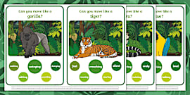 Animal Action Cards (teacher made) - Twinkl