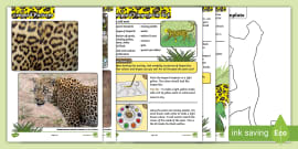 Leopard Fingerprint Counting Worksheet / Worksheet Pack
