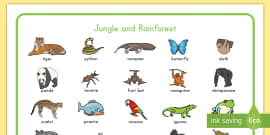 Jungle and Rainforest Word Mat | Ages 3–7 | Twinkl Resources