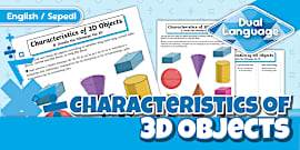 Describing 3-D Objects Activity Sheet