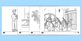 Fan Palm Tree Colouring Sheet (teacher made) - Twinkl