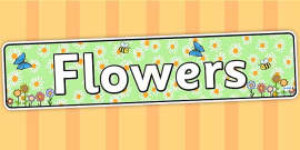 👉 Flower Banner | Editable Display Banner (teacher made)
