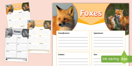 Fox Fact File Template,foxes (teacher made) - Twinkl