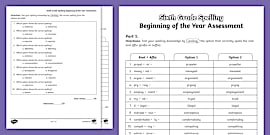 Fifth Grade Beginning of the Year ELA Grammar Assessment