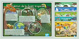 Tout sur les animaux et leurs habitats PowerPoint - Cycle 1 - 2