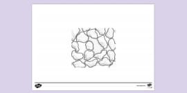 Soil Layers Colouring | Colouring Sheets (teacher made)