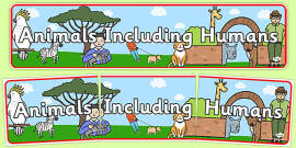 Animal Groups Display Posters - Animal, Display, Display Poster