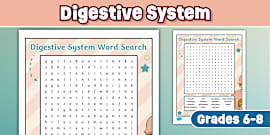 Digestion Word Search | Digestive System | KS2 | Twinkl
