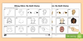 What are Irish adjectives? Teaching Wiki - Twinkl