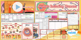 Science: Animals Including Humans Year 6 Unit Pack - Twinkl