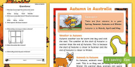 Reading Comprehension Worksheet and Activity Pack