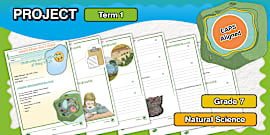 Grade 7 Technology - Term 3 - Project Assessment Resource (CAPS Aligned)